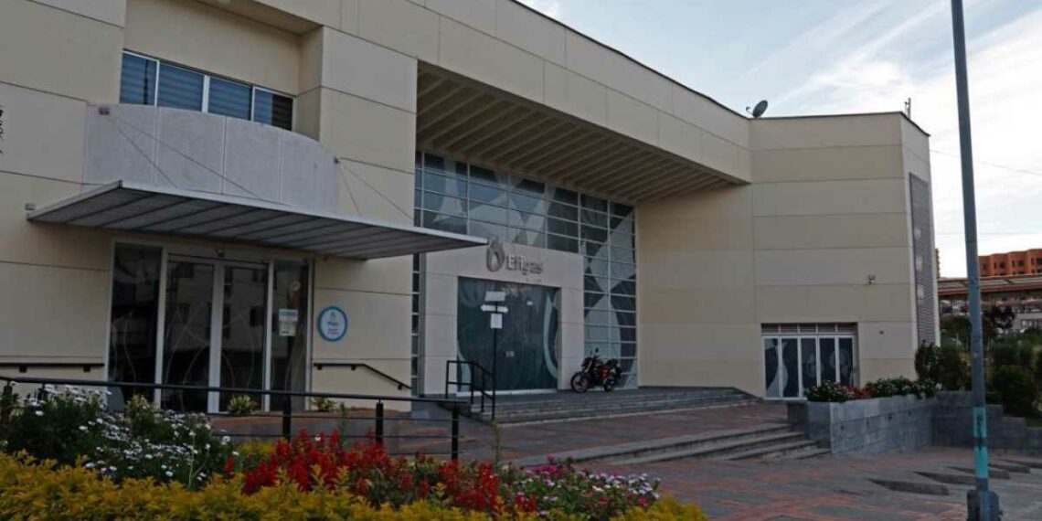 Efigas obtuvo el Sello de Sostenibilidad Icontec en Colombia - Latam Green