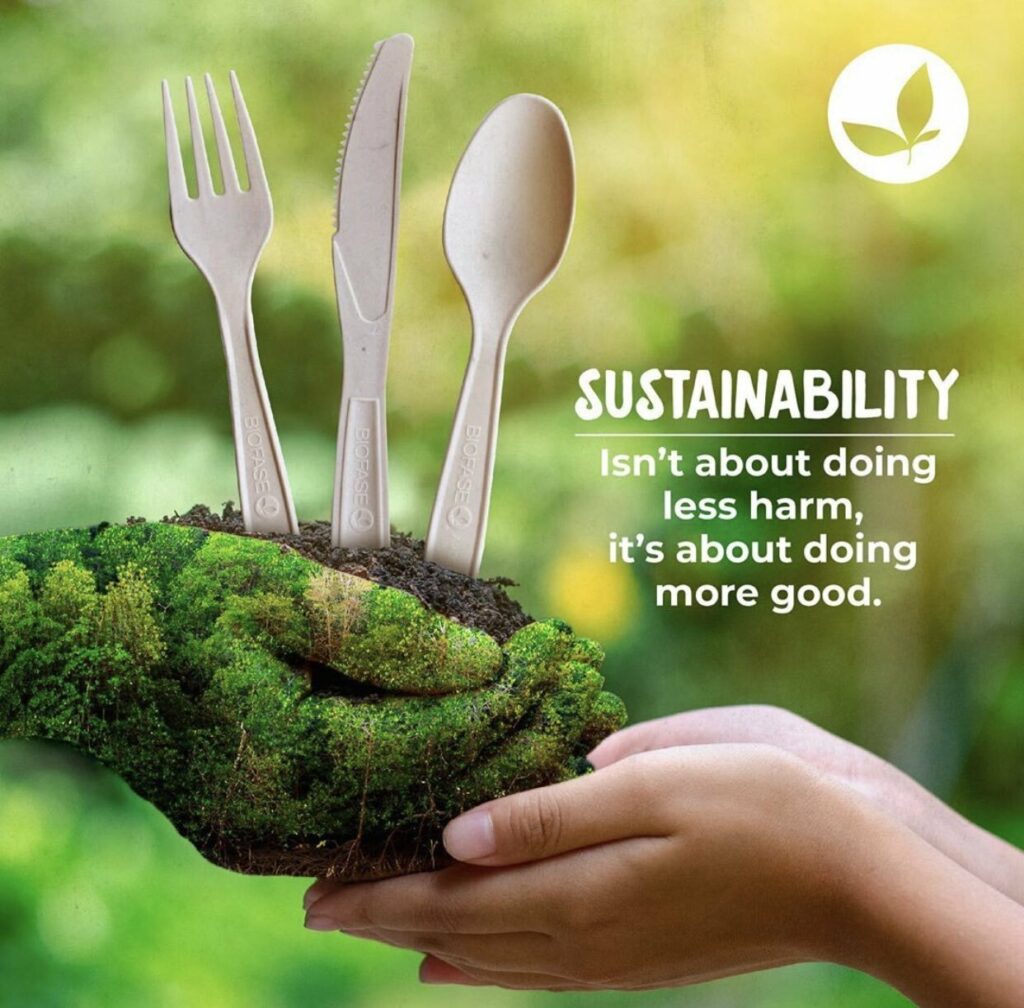 ¿Envases biodegradables con semillas de aguacate? Biofase lo hace ...