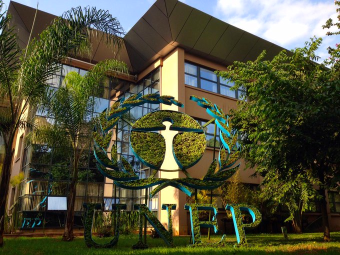 Aseguradoras presentan alianza net-zero junto al PNUMA - Latam Green