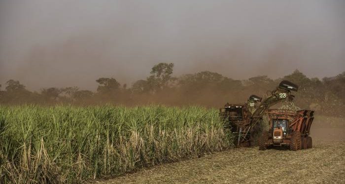 Brasil Biofuels producirá gasóleo verde en la Amazonía - Latam Green