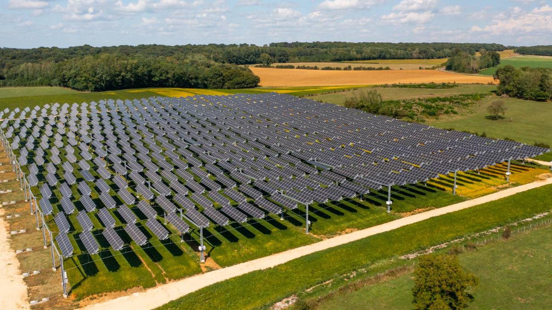 "Agrovoltaicos": Paneles solares inteligentes para la producción de ...