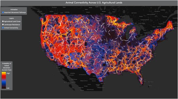 Planetary Computer: La estrategia de Microsoft para un futuro ...