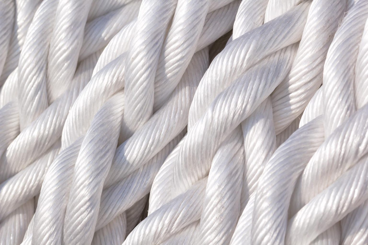 Usan bacterias, electricidad y residuos de madera para crear un nailon ...